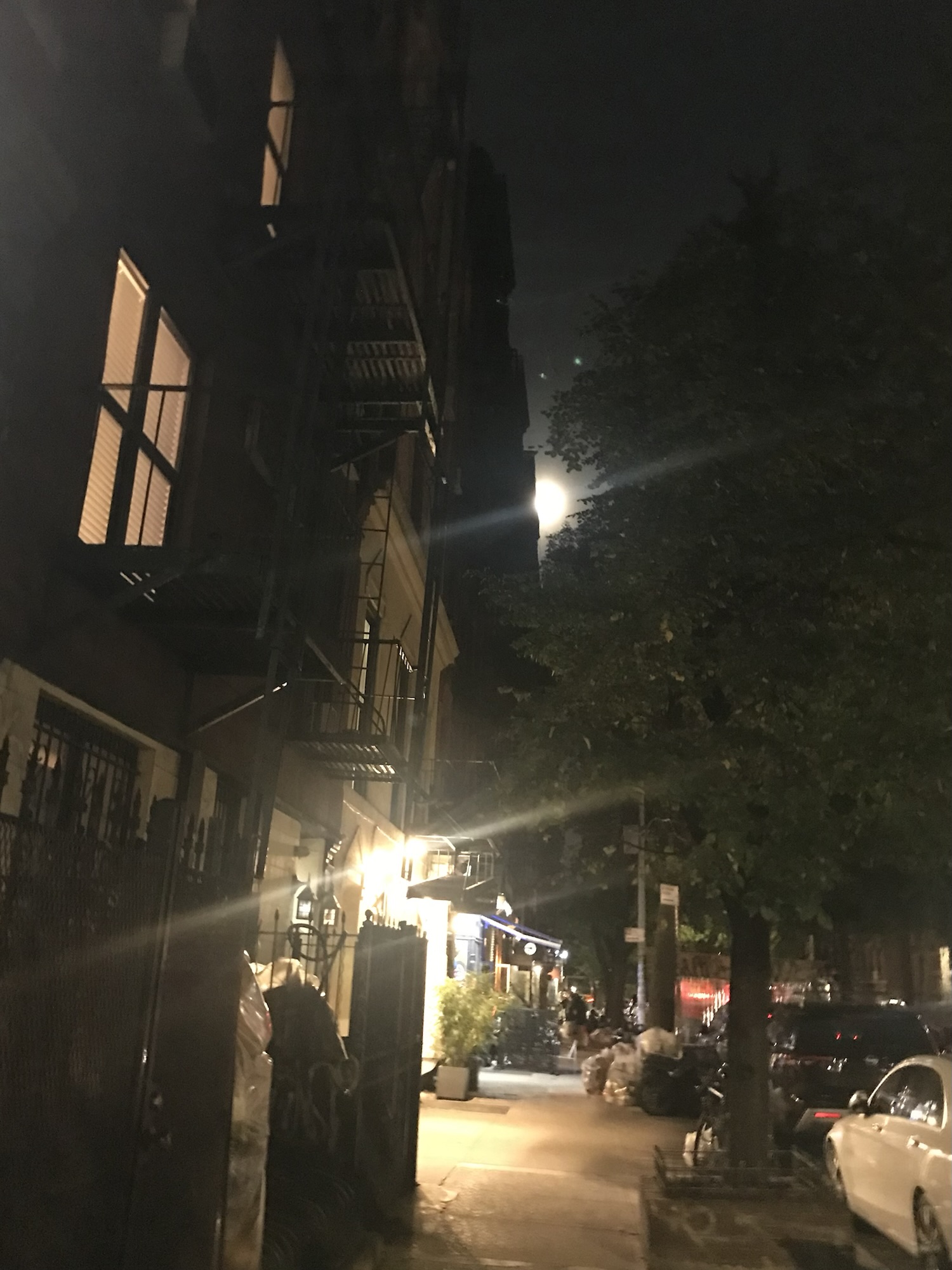 The Resonance Of Logic – Lotus In Full Bloom / Pamela Joy