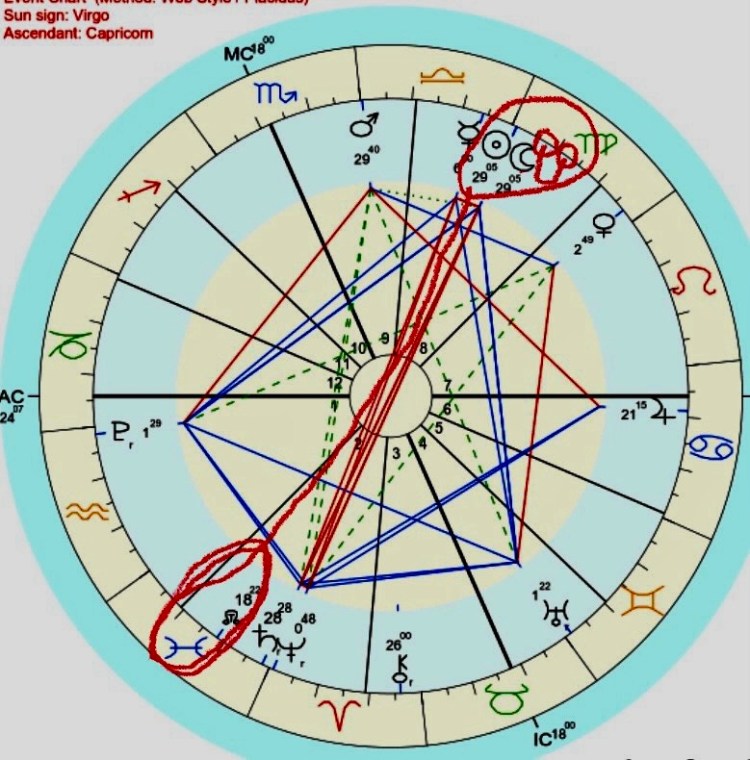 Journey Through The Looking Glass – Lotus In Full Bloom / Pamela Joy